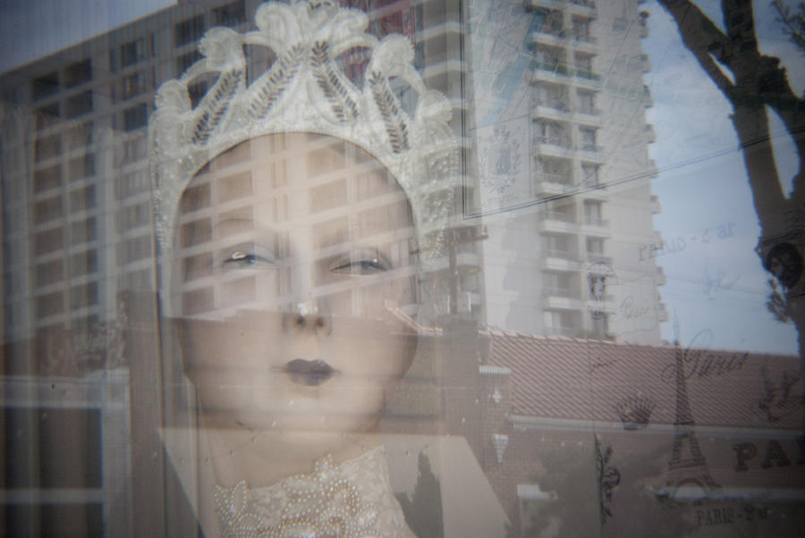 Queen Photograph by Kay Erickson | Pixels