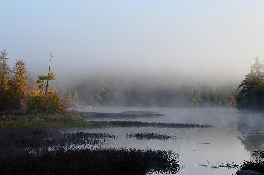 Quiet Dawn Photograph by Thomas Phillips - Fine Art America