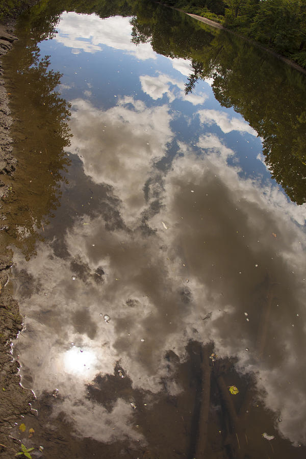 Quiet Reflection Photograph by Jason Allen - Fine Art America