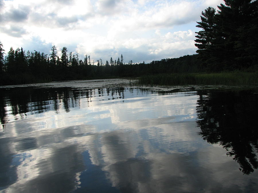 Quiet Reflections Photograph by Sue Thomson - Fine Art America