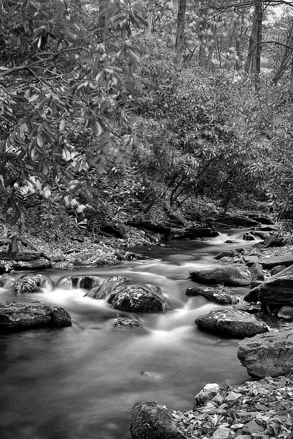 Quiet Stream Photograph by Darrin Doss - Fine Art America
