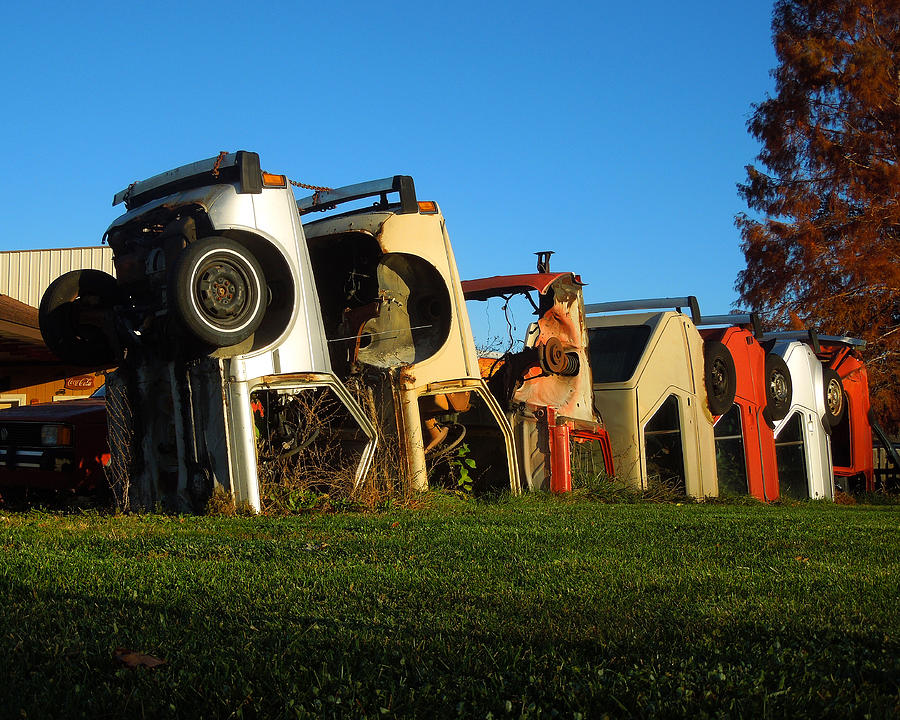 Rabbit Ranch Photograph by Todd Baxter - Fine Art America