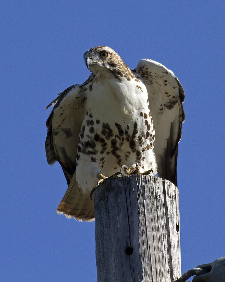 Radar Lock Photograph by Eric Mace - Fine Art America