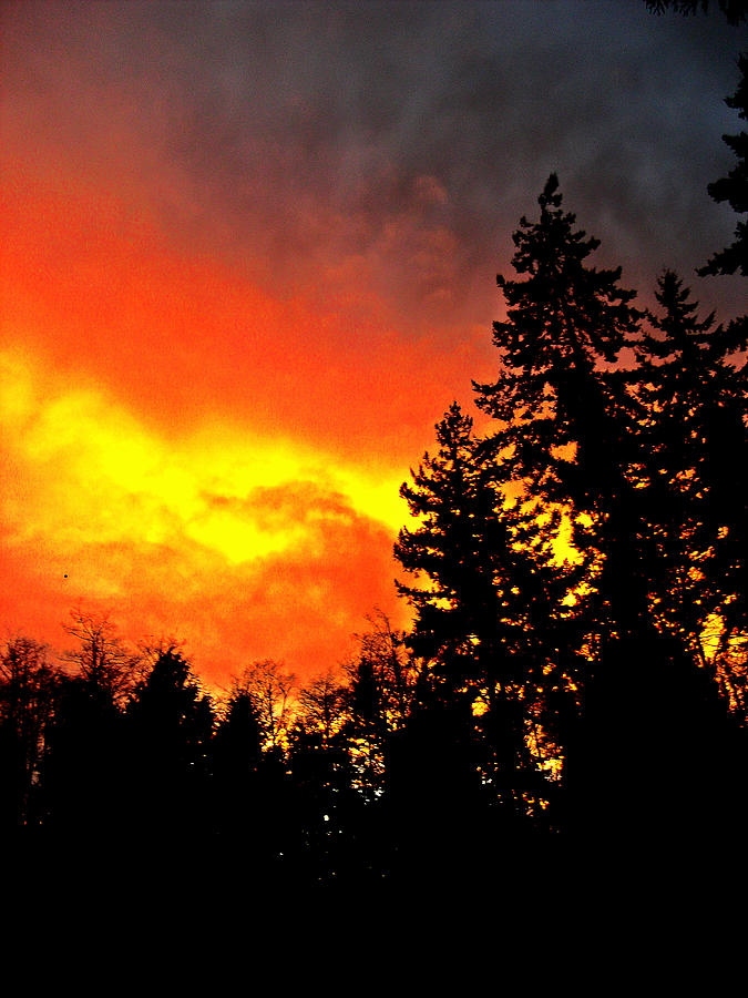 Radiantly Glowing Photograph by Kevin D Davis - Fine Art America