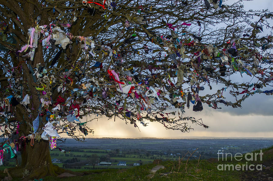 Rag Tree Photograph by Ciara Magee - Fine Art America