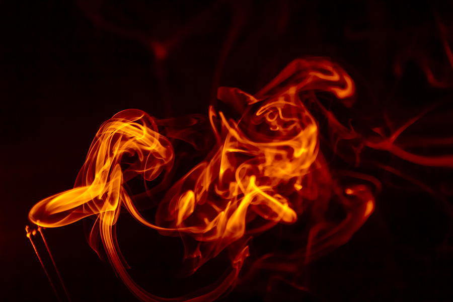 Rage Photograph by Cj Avery - Fine Art America