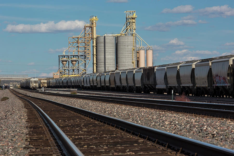 Rail Cargo Loading Facility Photograph by Jim West/science Photo ...