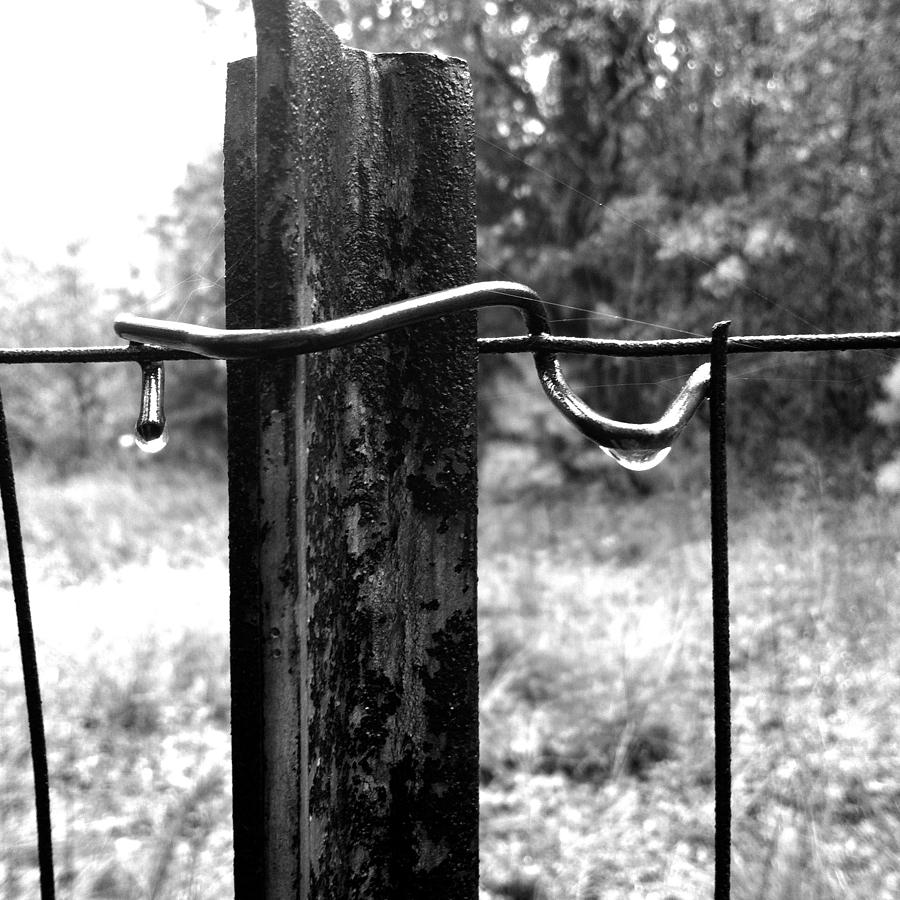 Rain and Fence Post Photograph by Elliott Strom - Fine Art America