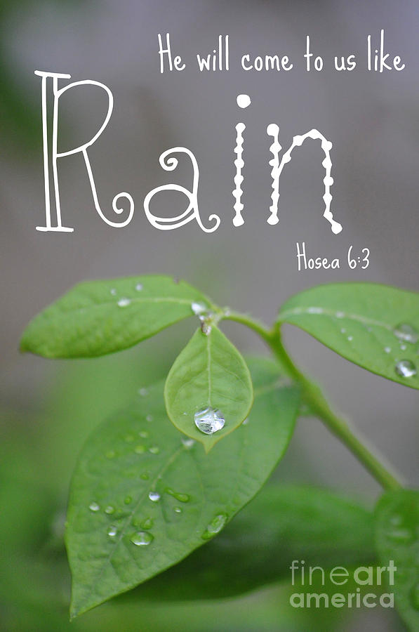 Rain Photograph by Mary Corbin - Fine Art America
