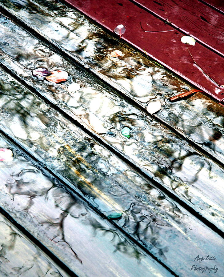 Rain Reflection Photograph by Dolly Angelette - Fine Art America