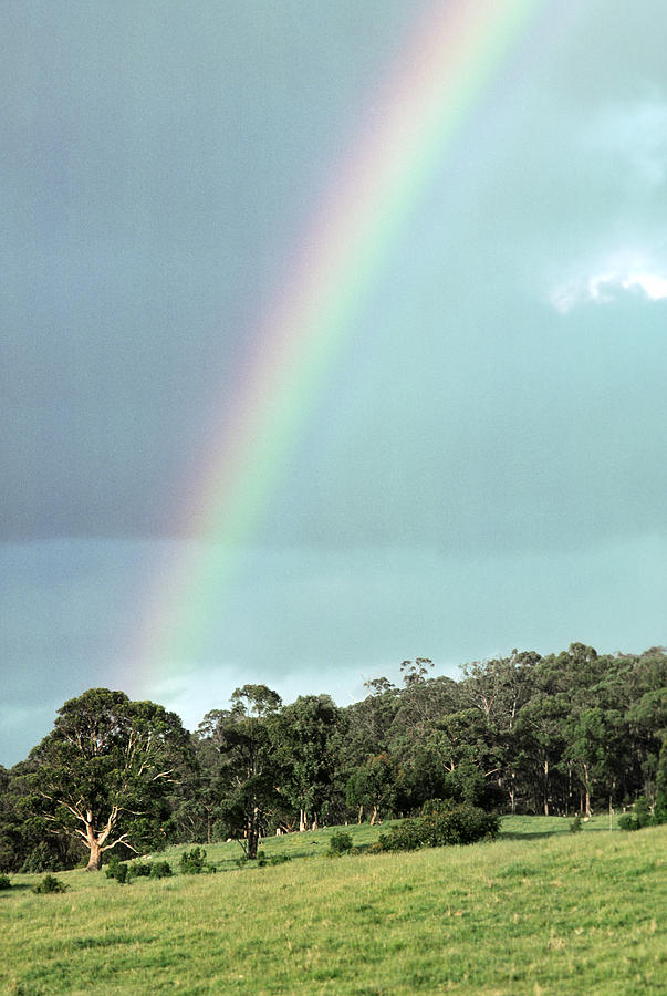 Rainbow Photograph by A.b. Joyce - Fine Art America