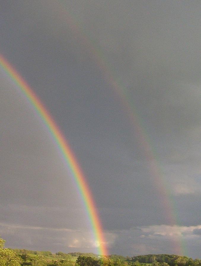 Rainbow Shadow Photograph by Paula Morhardt - Pixels