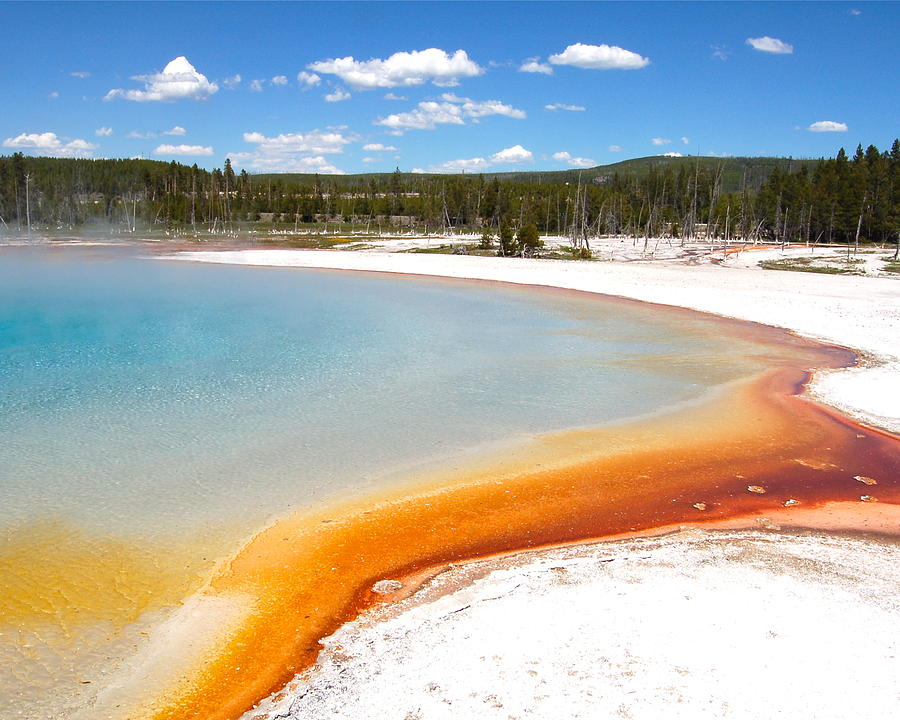 Rainbow spring Photograph by John Wunderli - Pixels