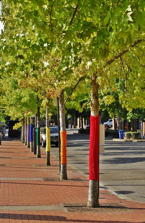 Rainbow Trees Photograph by Aimee Beauvais - Pixels