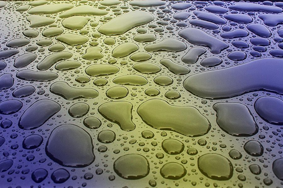 Raindrop path Photograph by Lowell Monke - Pixels