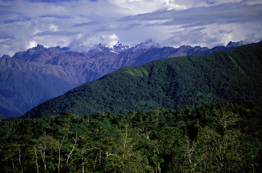 Rainforest Mountains Photograph by Beth Wald - Pixels