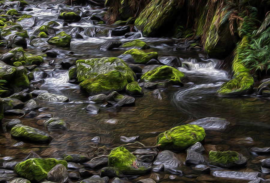 Rainforest Stream Photograph by Heather Provan - Fine Art America