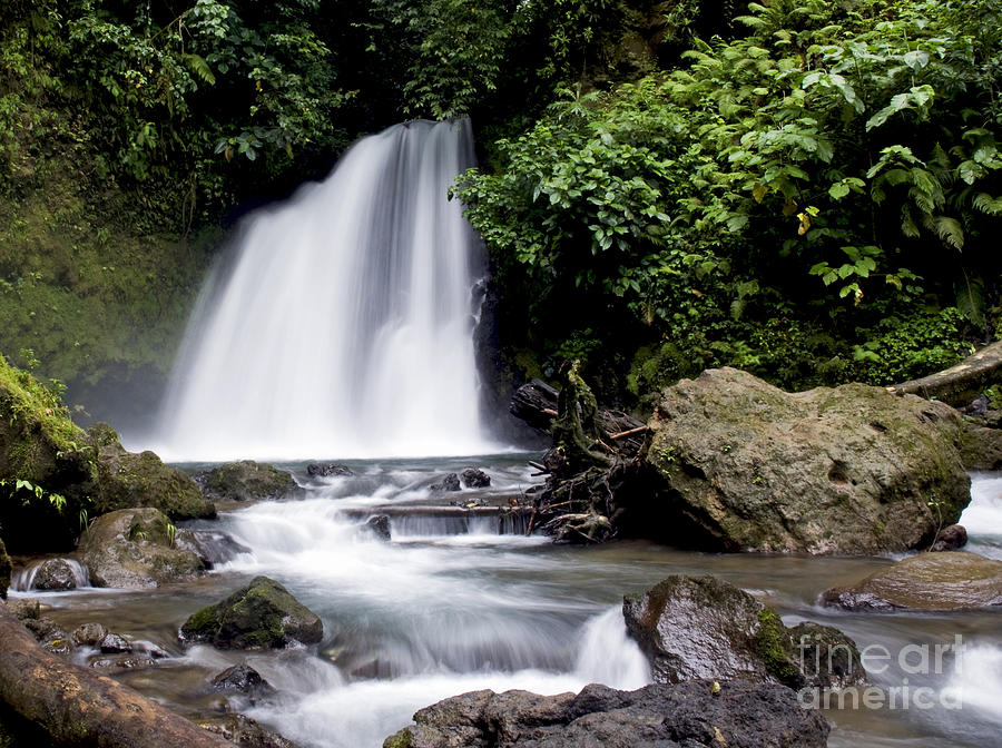 Rainforest Waterfall Photograph by Eric Riesch - Pixels
