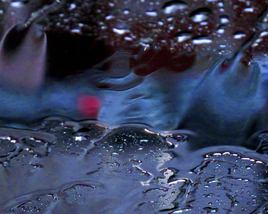 Rainstorm Photograph by Peter Edles - Fine Art America