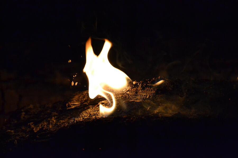 Ram's fire Photograph by Lenora Bruce - Fine Art America