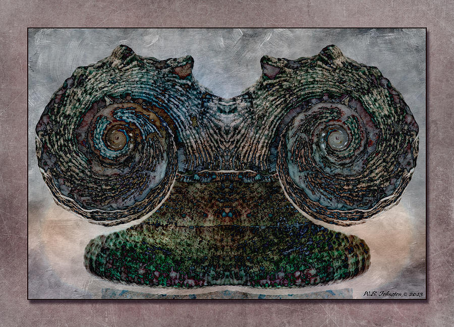 Ramshell 2 Photograph by WB Johnston - Fine Art America