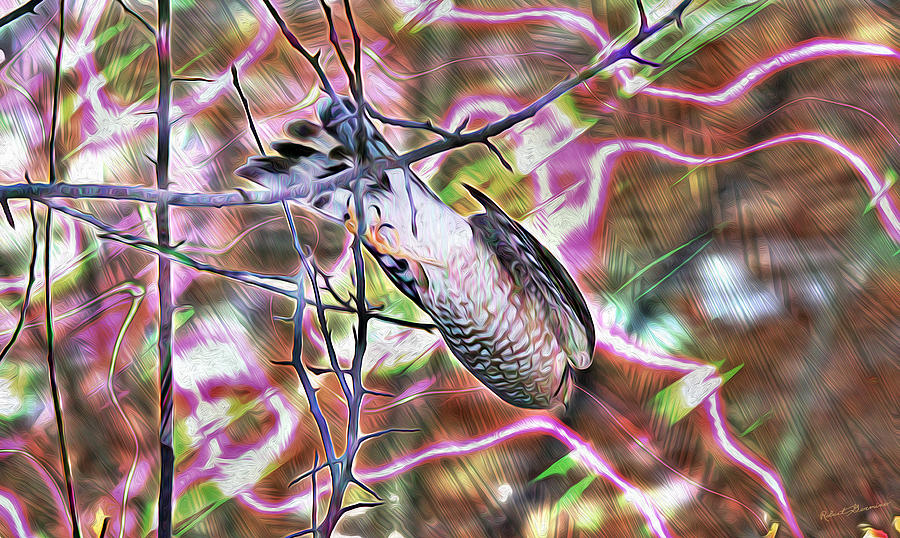 Raptor Storm Digital Art by Harmonic Imagery - Fine Art America