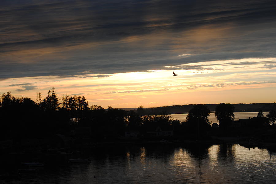 Rays Before Sunset Photograph by Bree Freeman | Fine Art America