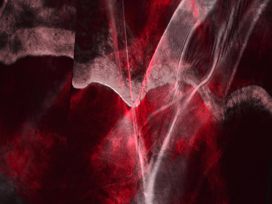 Red Art Photograph by Dennis James - Fine Art America