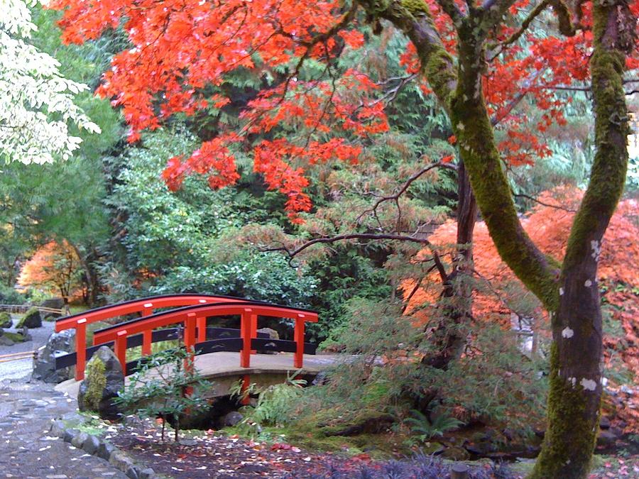 Red Bridge Photograph by Deborah Redfern - Pixels