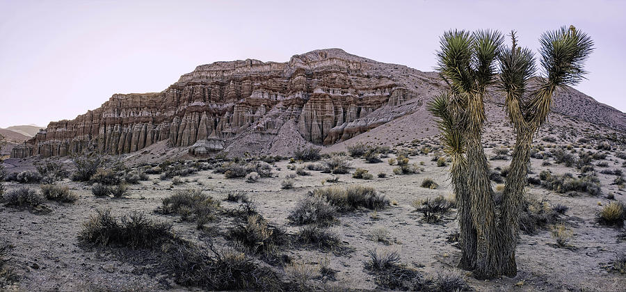 Red Cliffs Photograph by Bill Boehm - Fine Art America
