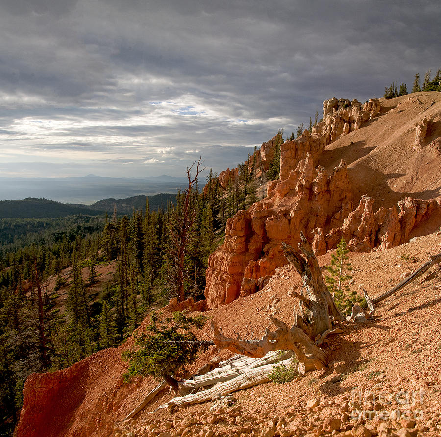 Red Cliffs Photograph by Earl Nelson - Fine Art America