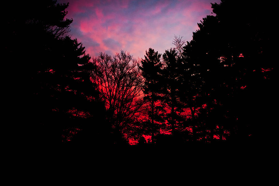 Red dawn Photograph by Dylan Bouchard - Fine Art America