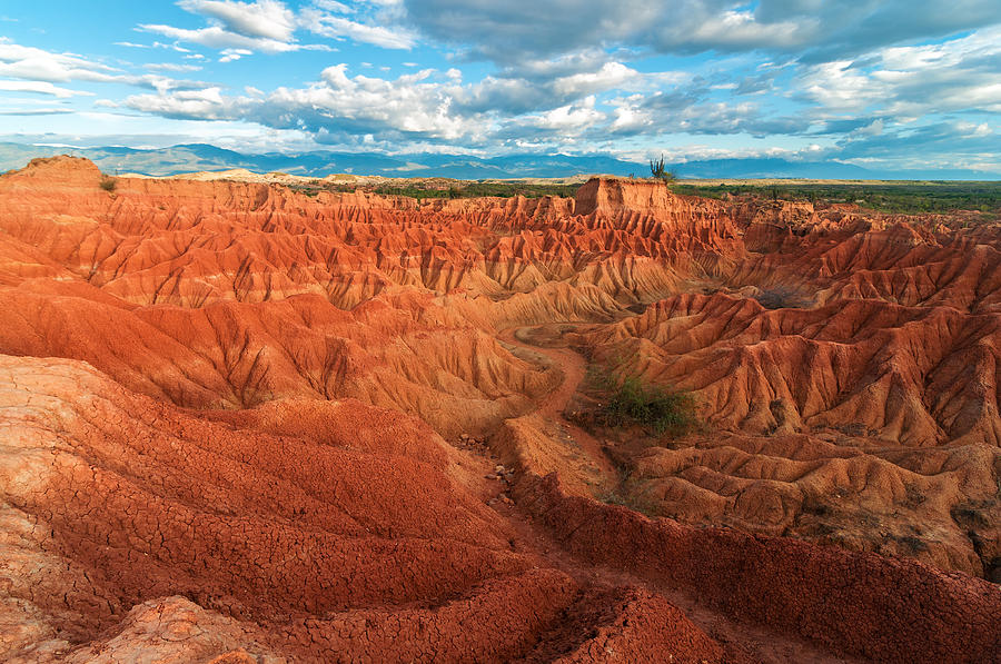 Red Desert Landscape Photograph by Jess Kraft | Fine Art America