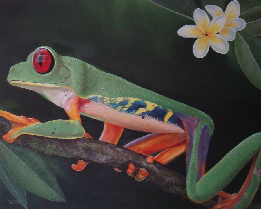 Red Eyed Tree Frog Painting by Tara Darby - Fine Art America