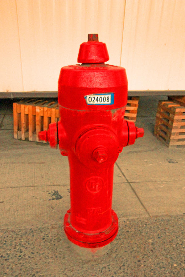 Red Fire Hydrant Photograph by Mark Tsemak - Fine Art America