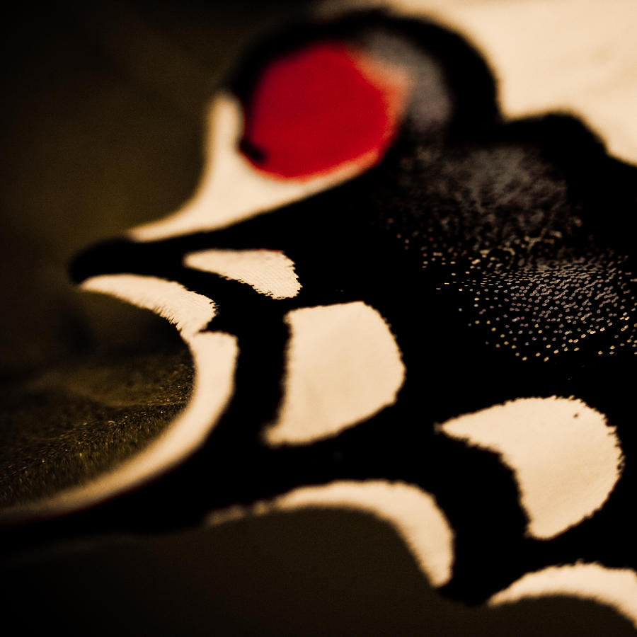 Red Photograph by Ivan Yonkov - Fine Art America