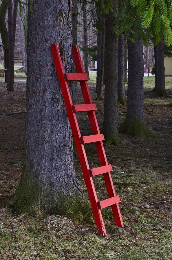 Red Ladder Photograph by David Knowles