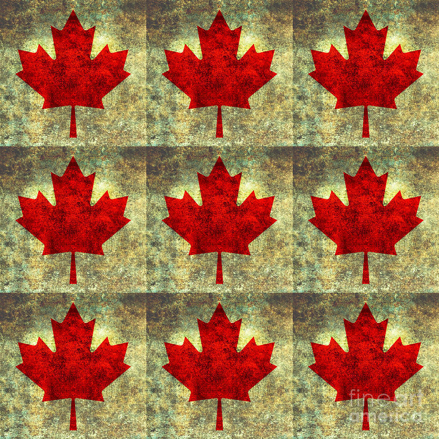 Red Maple Leaf Digital Art by Sterling Gold - Fine Art America