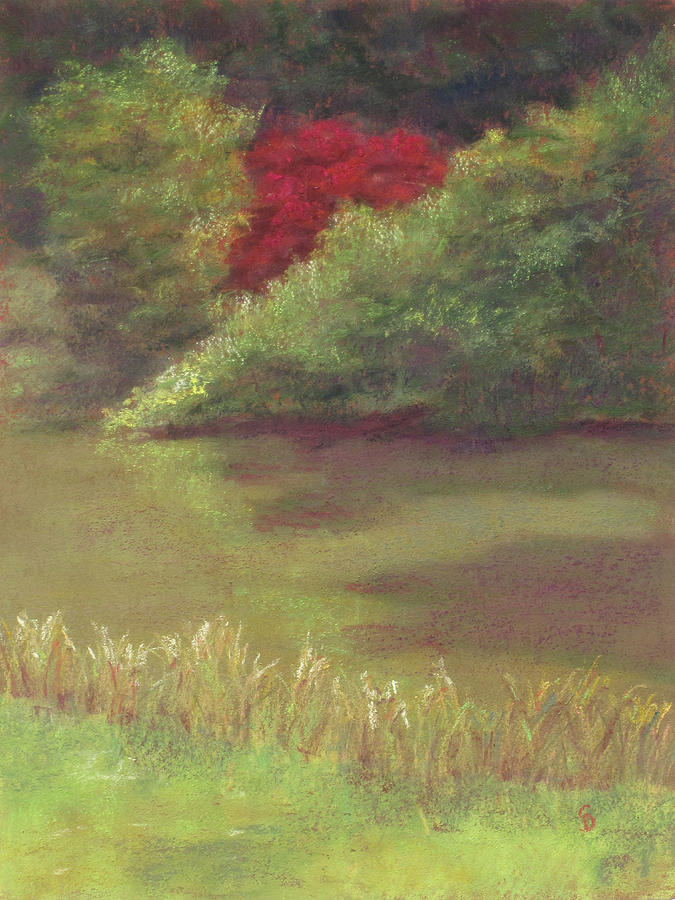 Red Maple Painting by Stacey David - Fine Art America