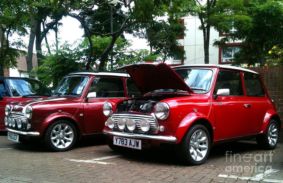 Red Mini Photograph by Loreta Mickiene | Fine Art America