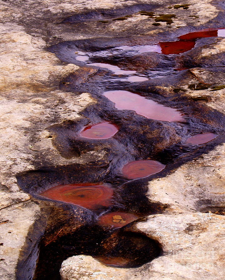 Red Pool Two Photograph by Kevin Pugh - Fine Art America