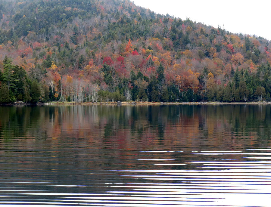 Red Reflection Photograph by Jean Macaluso | Fine Art America