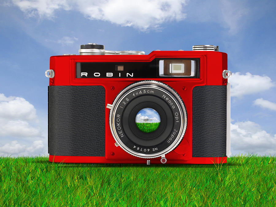 Red Robin Photograph by Mike McGlothlen - Fine Art America