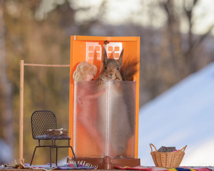 Red Squirrel In Shower With Naked Doll Photograph By Geert Weggen