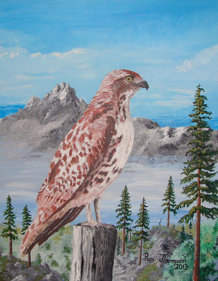 Red Tail Hawk Painting by Ron Thompson | Fine Art America