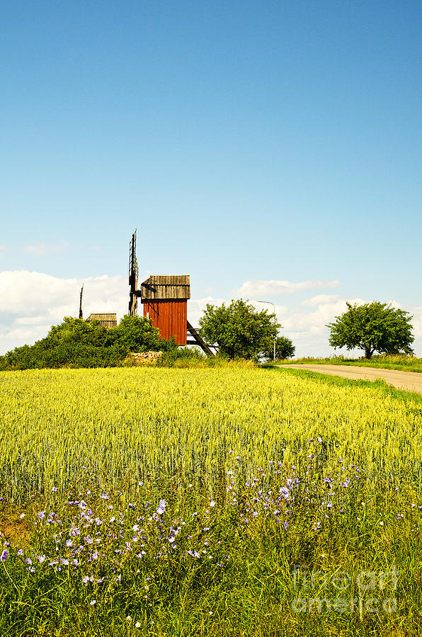Red Windmill Photograph by Kennerth and Birgitta Kullman - Fine Art America