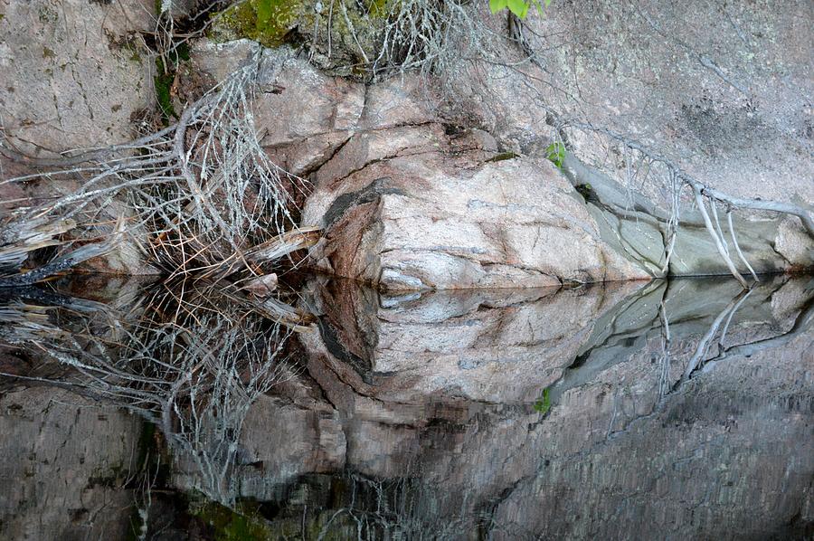 Reflected Faces Photograph by Thomas Phillips - Fine Art America