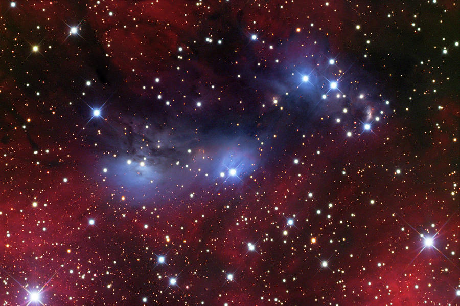 Reflection And Emission Nebula (ngc 6559) Photograph by Robert Gendler/science Photo Library ...