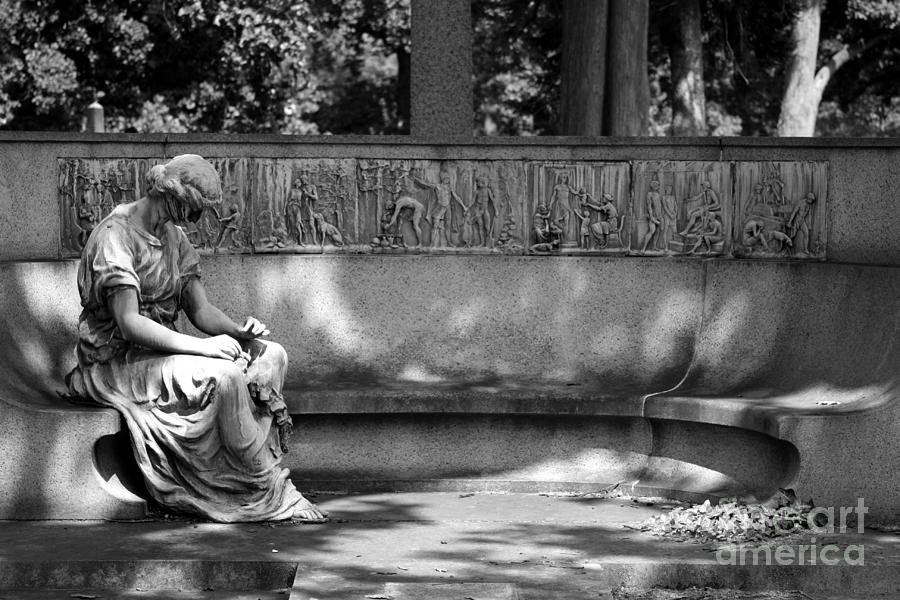 Reflection Photograph by Andrew Romer - Fine Art America