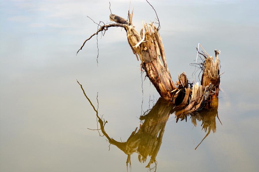 Reflection Photograph by Brian Flick | Fine Art America